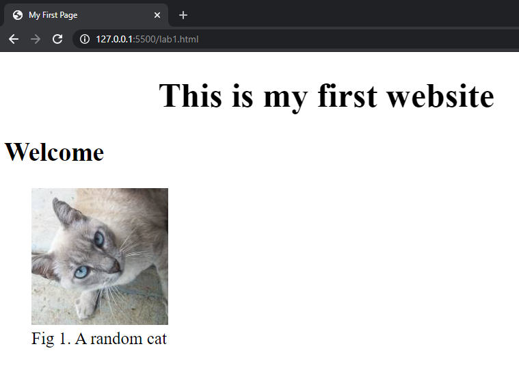 Lab 1.1 - Intro to HTML