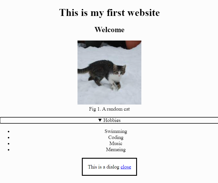Lab 1.1 - Intro to HTML