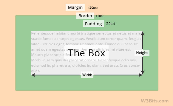 Lab 3 - CSS Fundamentals